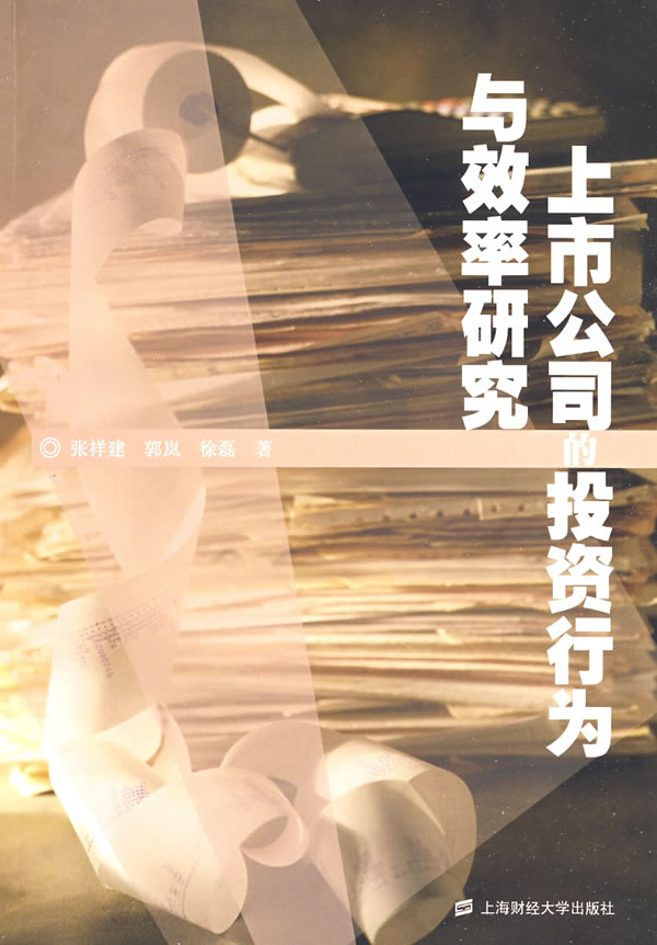 上市公司的投资行为与效率研究