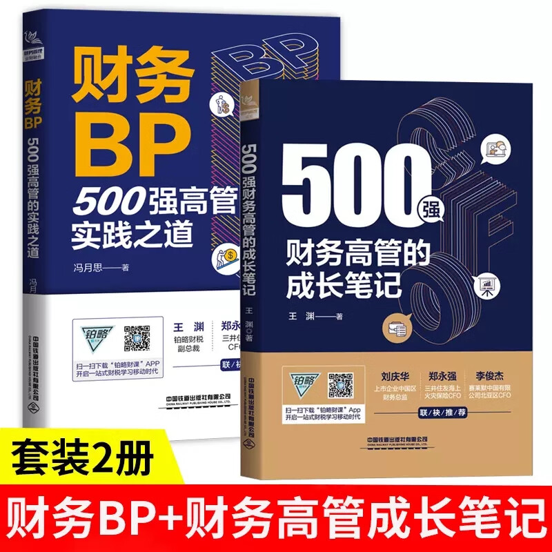 2册 财务BP 500强高管的实践之道+500强财务高管的成长笔记 默认规格