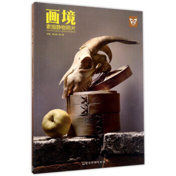 画境-素描静物照片【好书，下单速发】