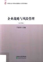 企业战略与风险管理试用版