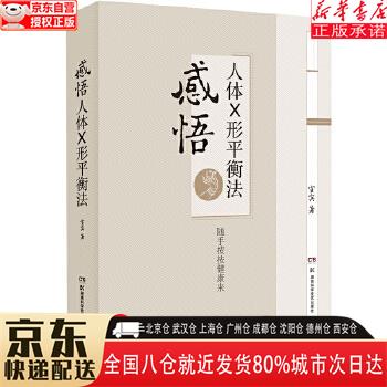 感悟×形平衡法 宣宾 湖南科学技术出版社