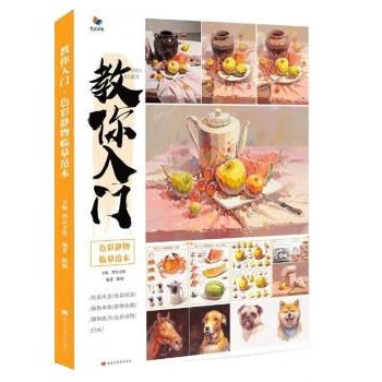 教你入门色彩静物临摹范本