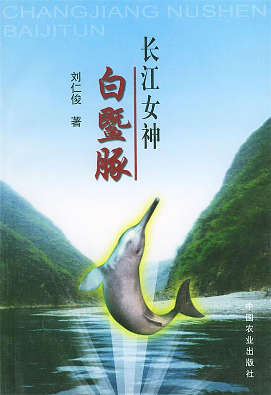长江女神—白暨豚