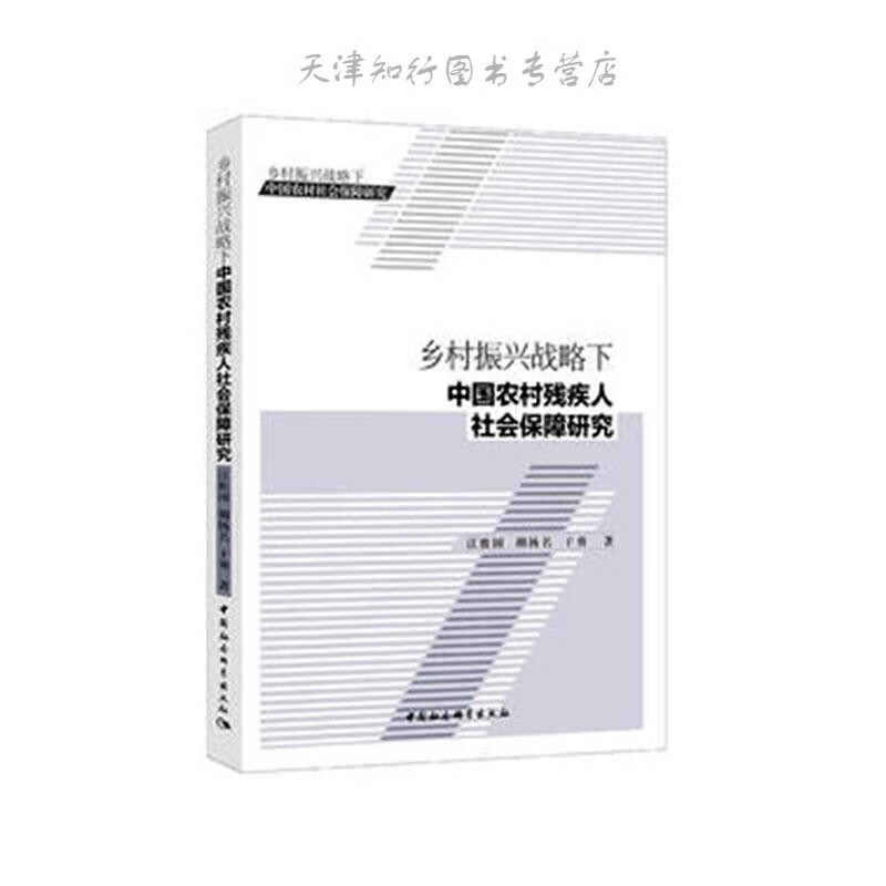 乡村振兴战略下中国农村残疾人社会保障研究