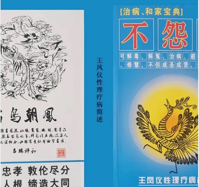 现货 不怨人 王凤仪性理疗病简述