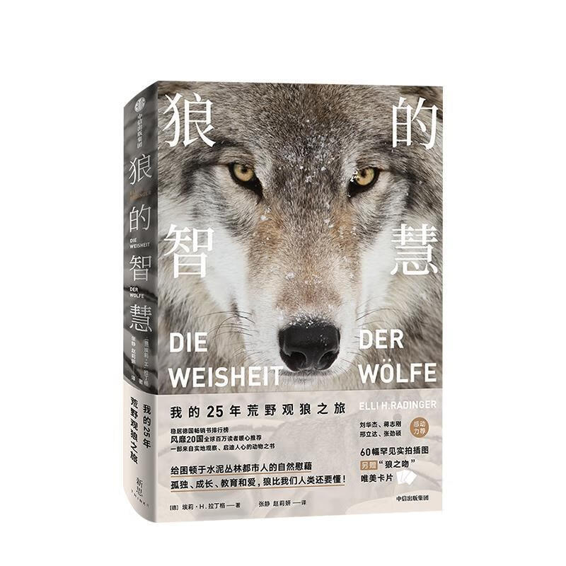 狼的智慧 我的25年荒野观狼之旅