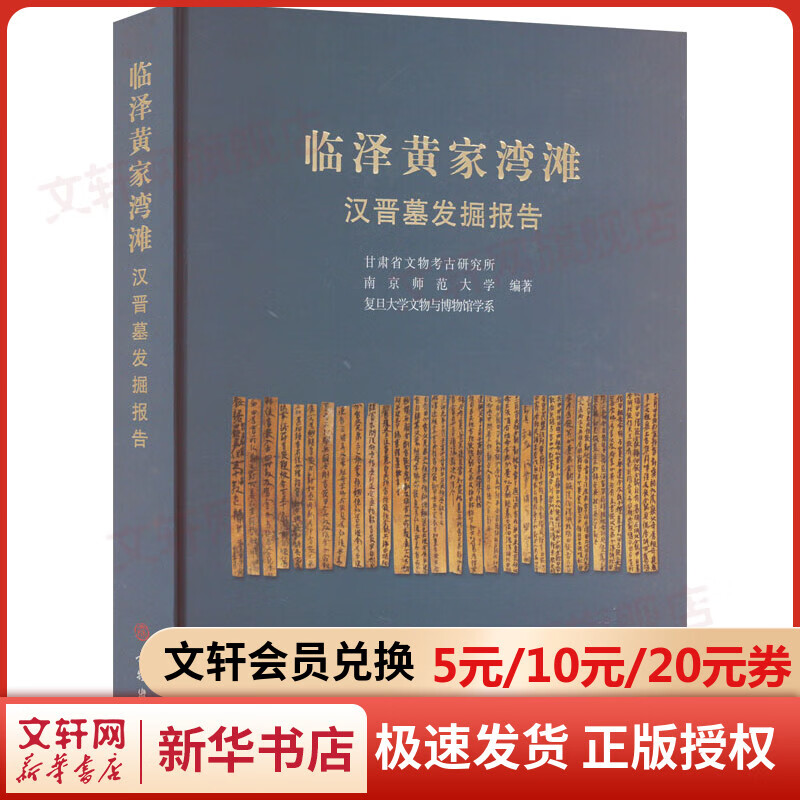 临泽黄家湾滩汉晋墓发掘报告 图书