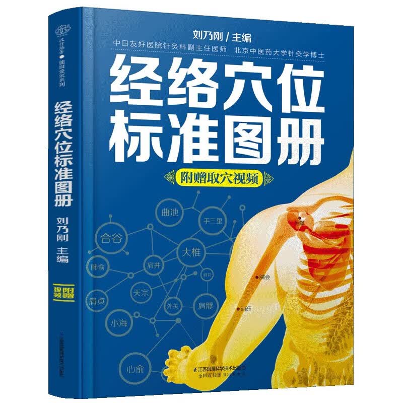 经络穴位标准图册