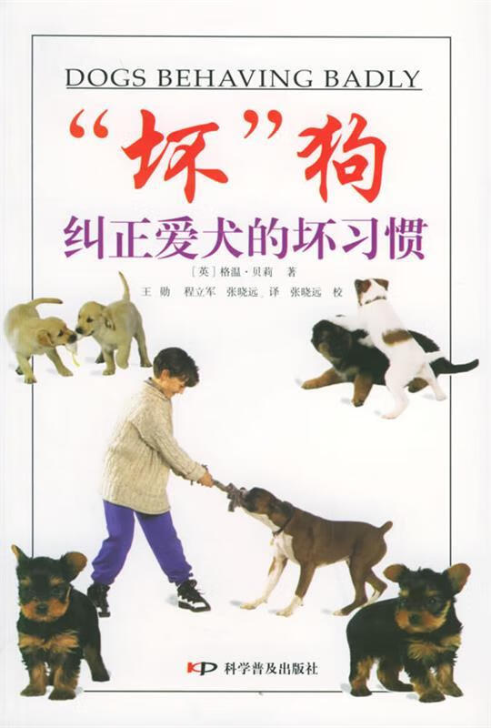 坏狗纠正爱犬的坏习惯【精选】