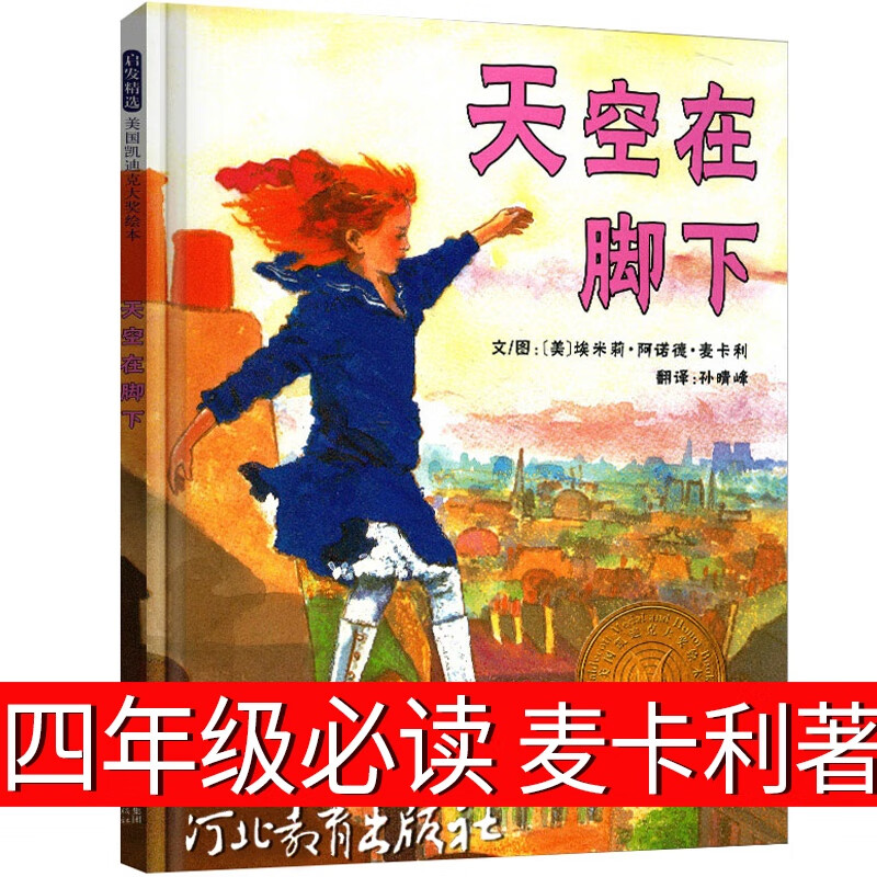 铁丝网上的小花四年级明天精装绘本经典书目小学生二三四年级文学启蒙读物故事书寒暑假阅读课 天空在脚下 【四年级绘本】