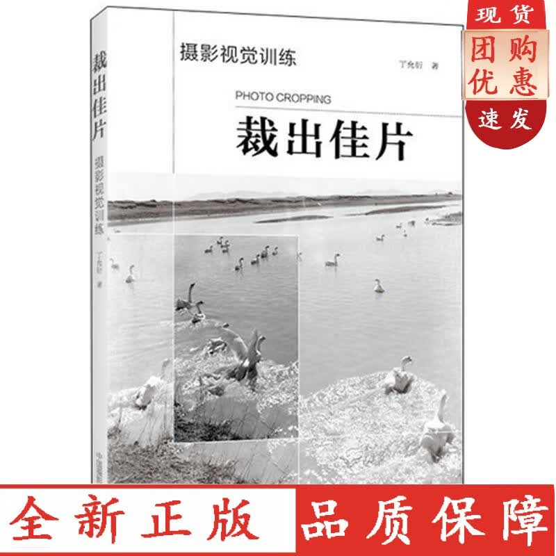 裁出佳片 丁允衍 著 摄影理论