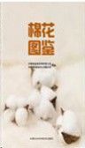 棉花图鉴