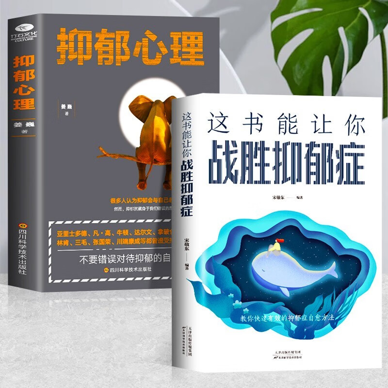 这书能让你战胜抑郁症 抑郁心理学 写给抑郁人士及其家人的自救指南 抑郁症书籍 全2册这书能让你战胜抑郁症+抑郁心理