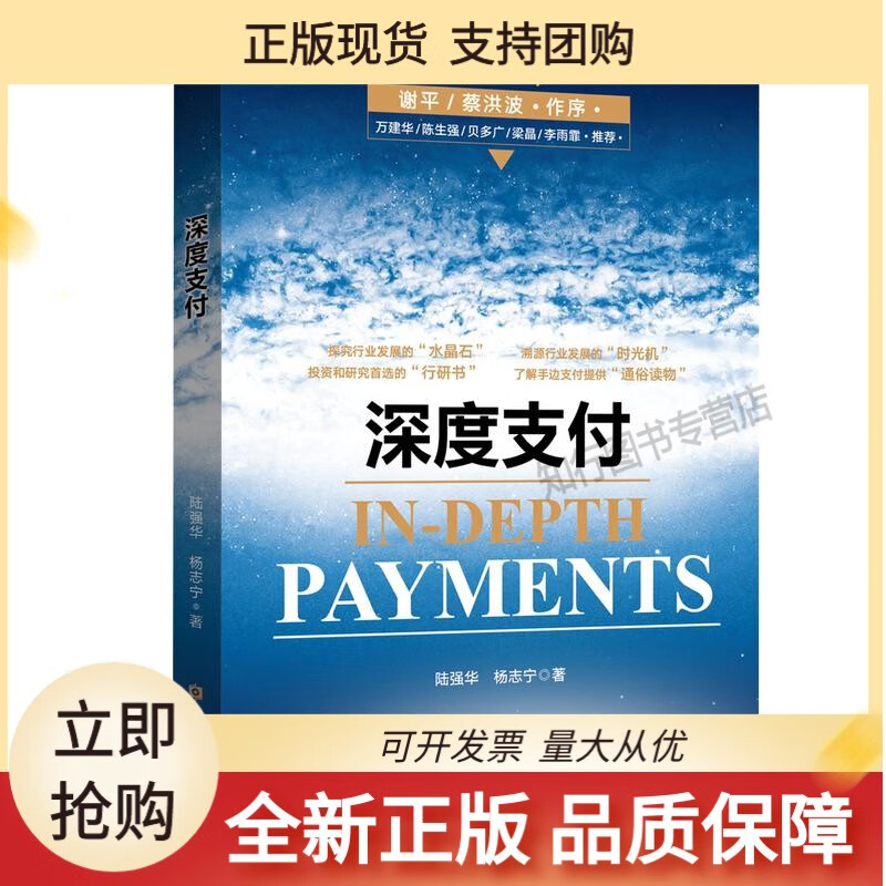 深度支付