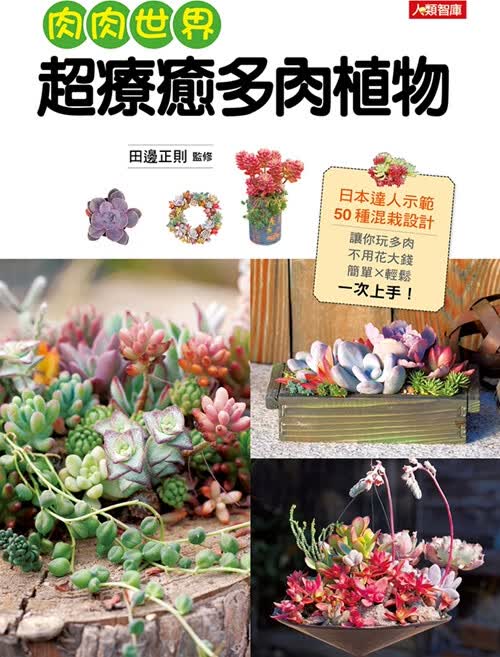 现货【外图台版】肉肉世界超疗愈多肉植物/田边正则