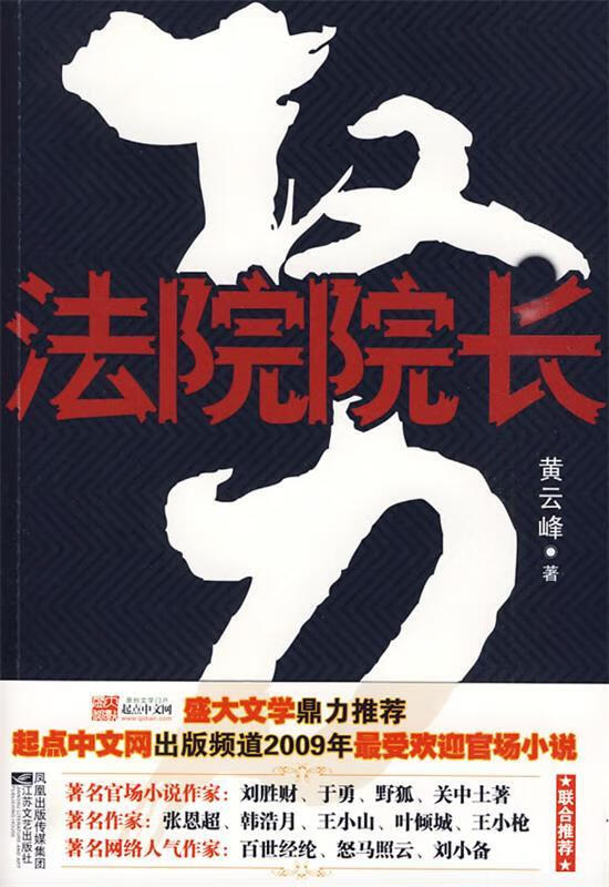 法院院长 黄云峰著