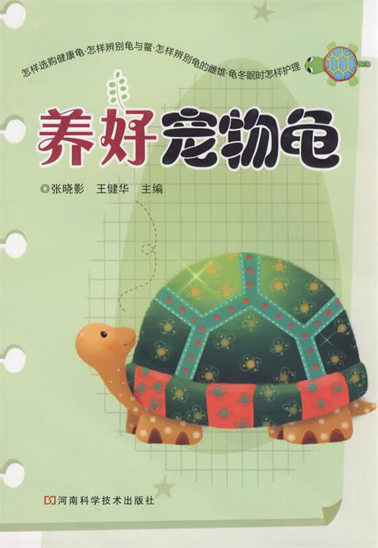 养好宠物龟