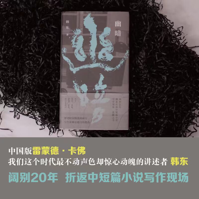 （精装）幽暗(鲁迅文学奖得主韩东中短篇选集)