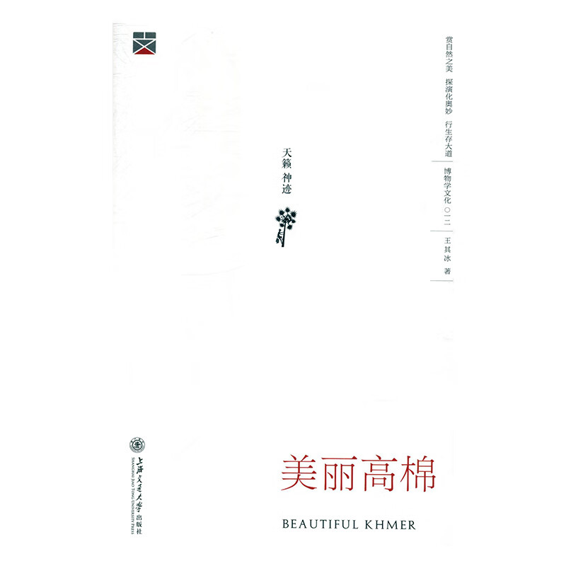 美丽高棉/社会科学/书籍