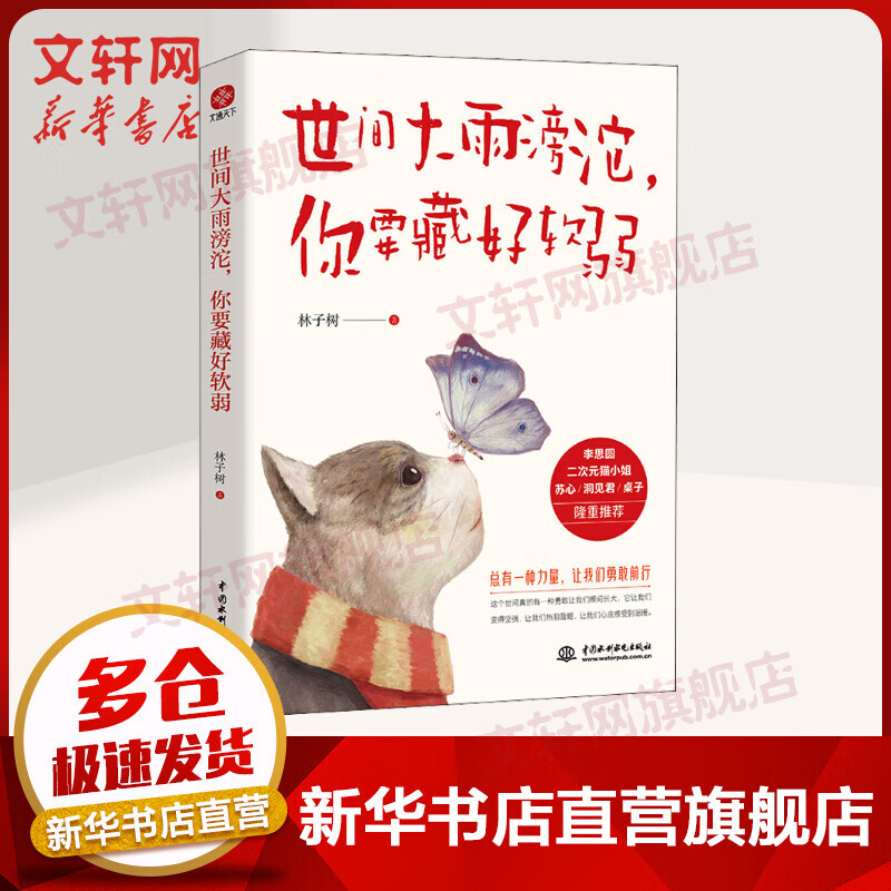 世间大雨滂沱，你要藏好软弱 图书