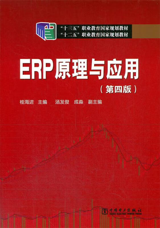 ERP原理与应用 桂海进 中国电力出版社 9787519838829