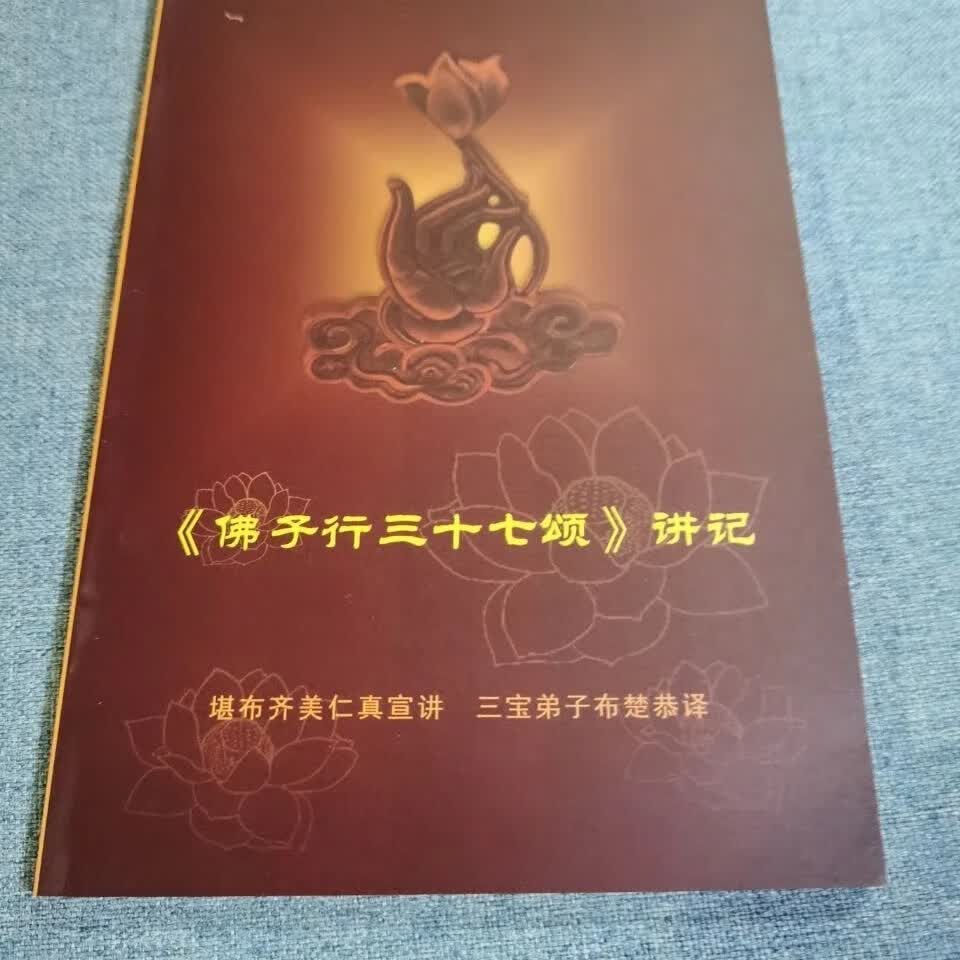 现货  佛子行三十七颂讲记   齐美仁真堪布宣讲 真堪布宣讲 真堪布宣讲