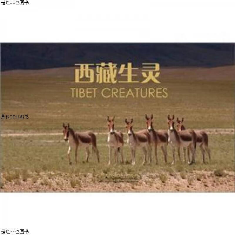 西藏生灵(名信片图集)全十张