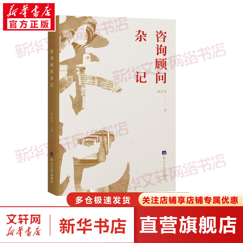 咨询顾问杂记 图书