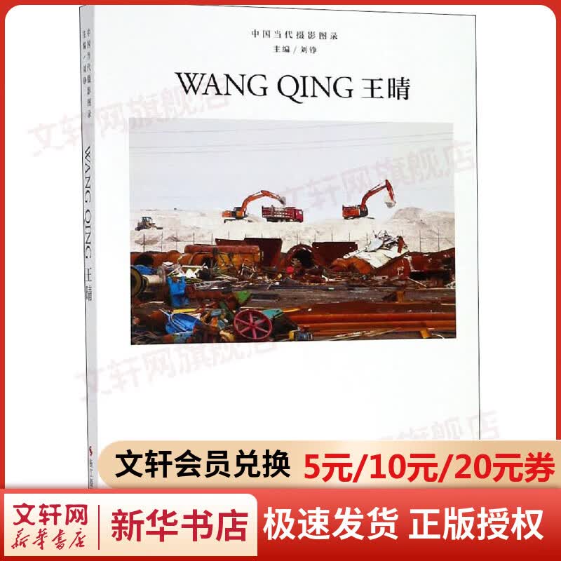 中国当代摄影图录 王晴 图书