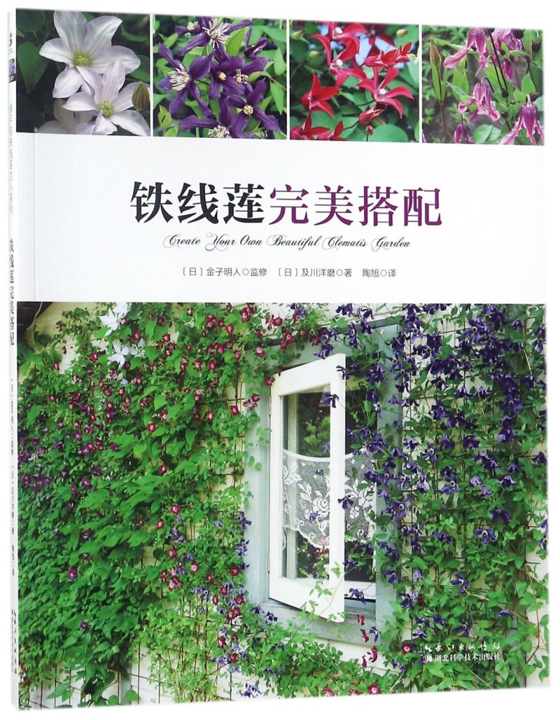 铁线莲完美搭配
