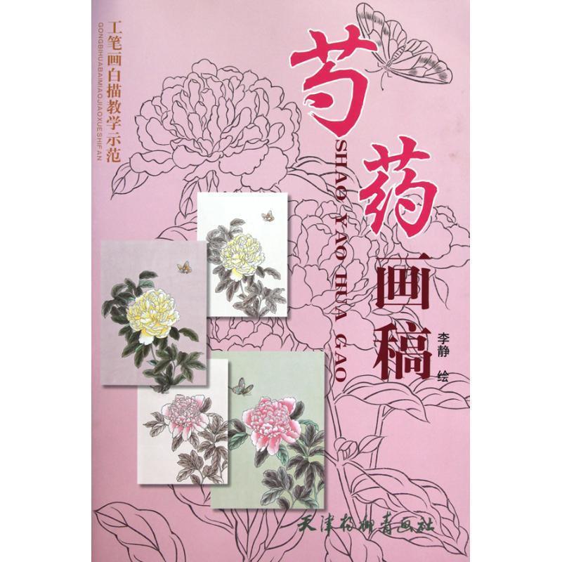 芍药画稿
