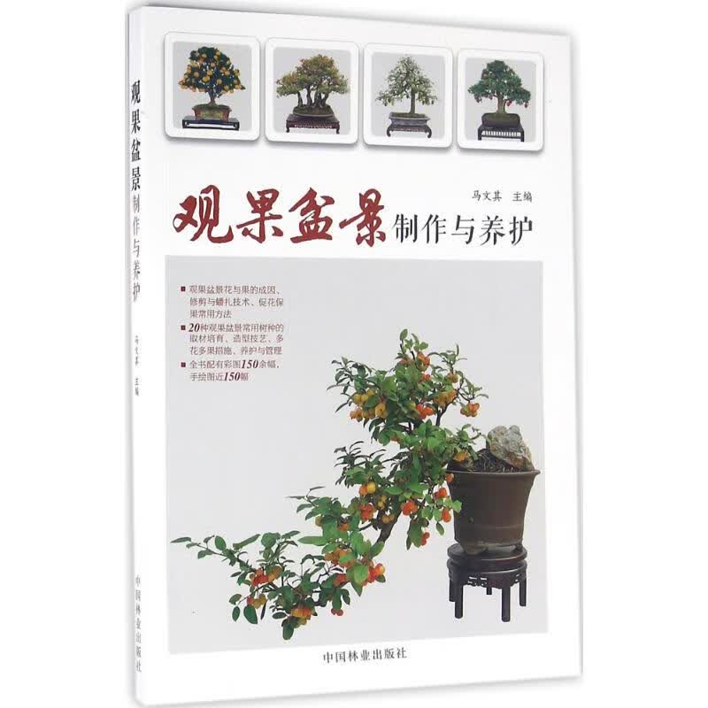观果盆景制作与养护