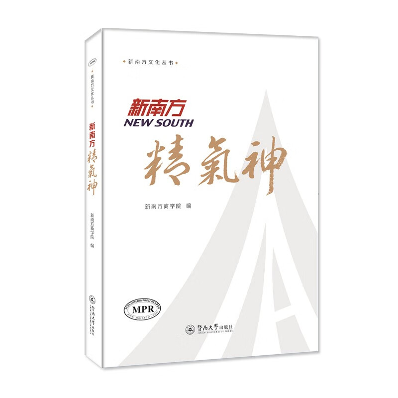 新南方精气神/新南方文化丛书