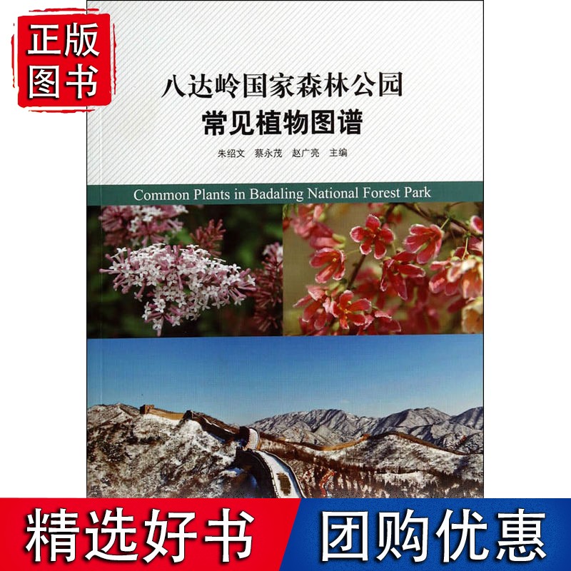 八达岭森林公园常见植物图谱