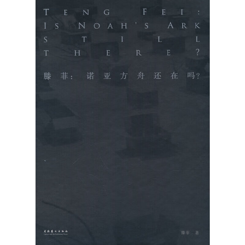 滕菲：还在吗？
