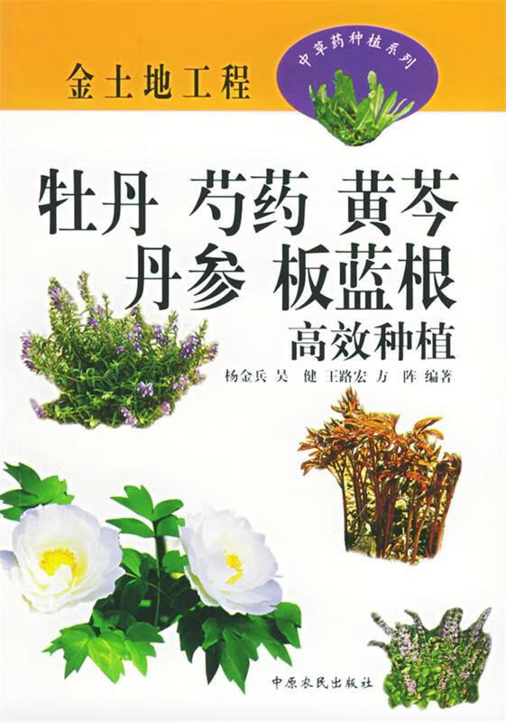 ！ 牡丹、芍药、黄芩、丹参、板蓝根高效种植 9787806415078 杨金兵 等编著 中原农民