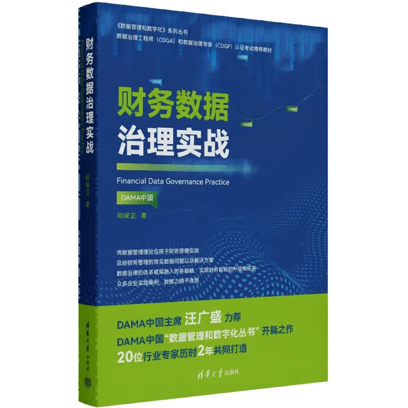 财务数据治理实战 郑保卫 清华大学出版社