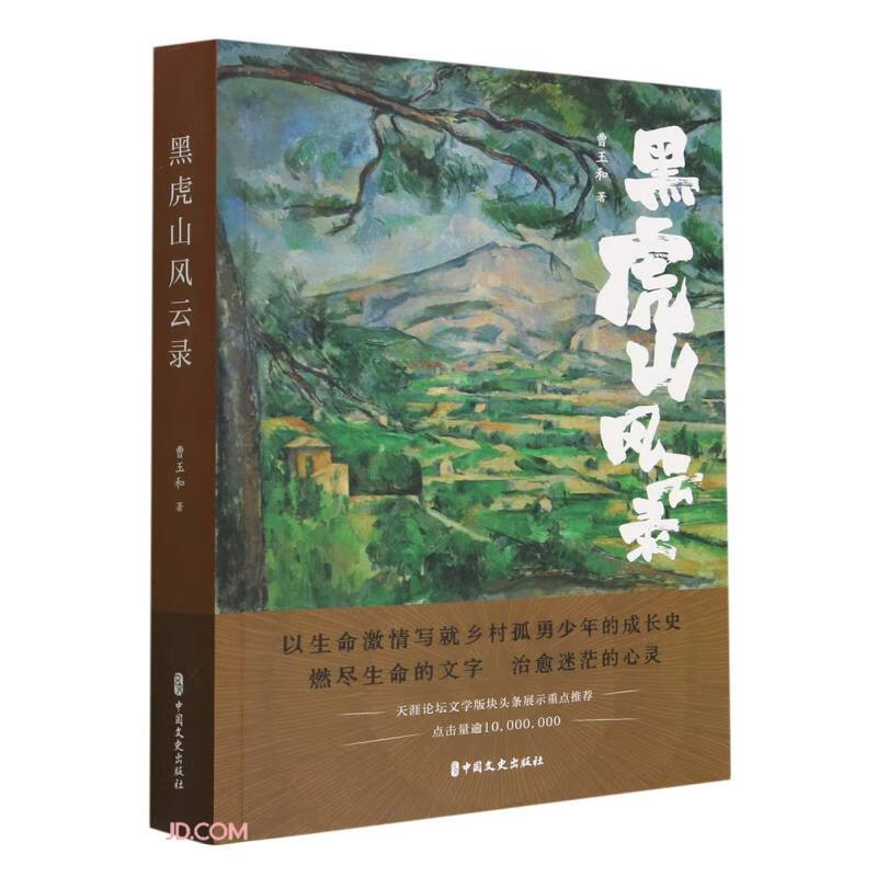 黑虎山风云录