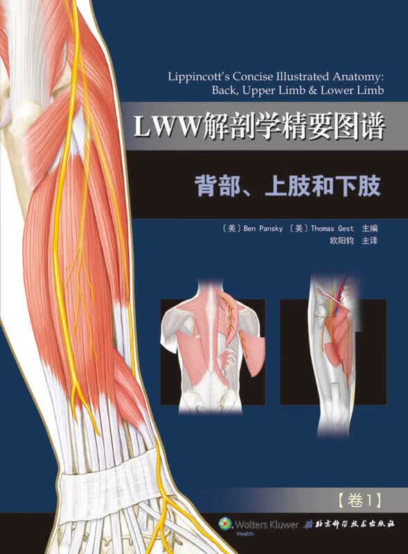【书】LWW解剖学精要图谱 背部上肢和下肢9787530478356