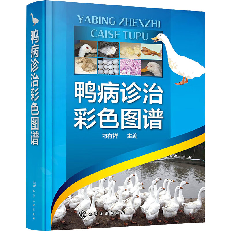 鸭病诊治彩色图谱 刁有祥 编 书籍 图书