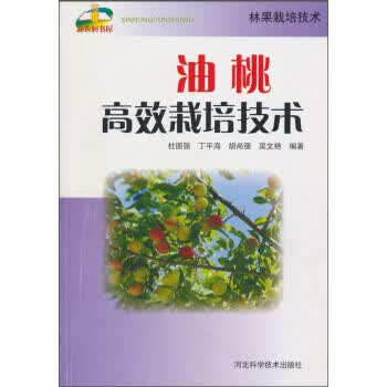 油桃高效栽培技术