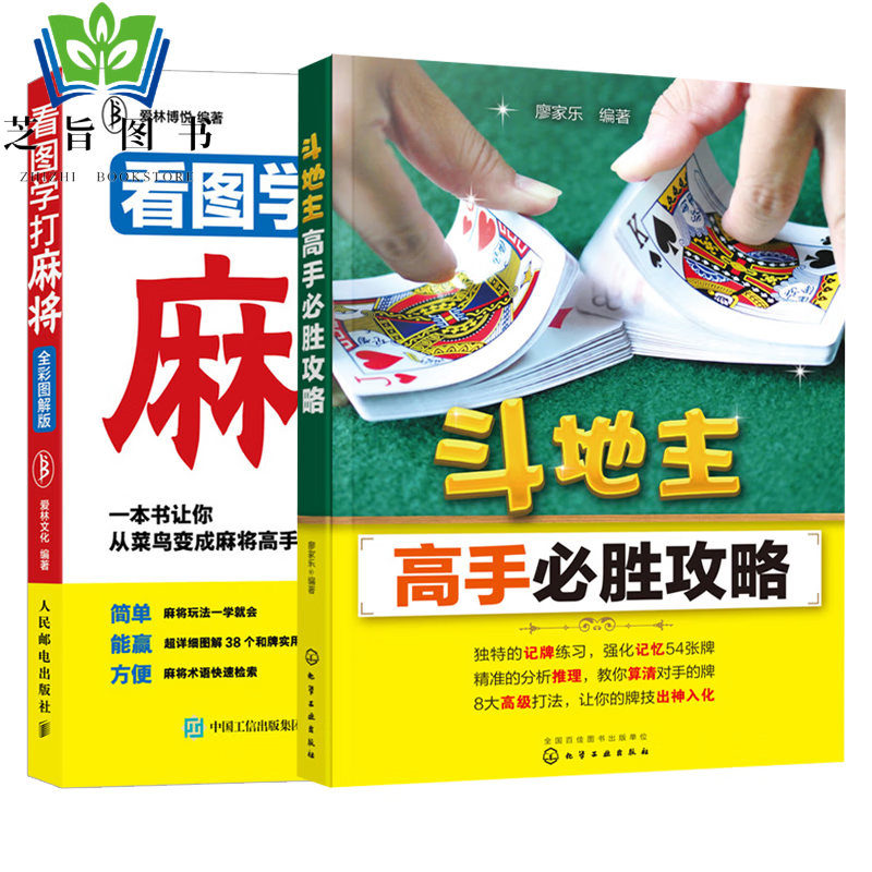 斗地主攻略+看图学打麻将彩图解版共2本 麻将实战打法战术规则从入门到通自学教程 扑克纸技巧书 零基础新手