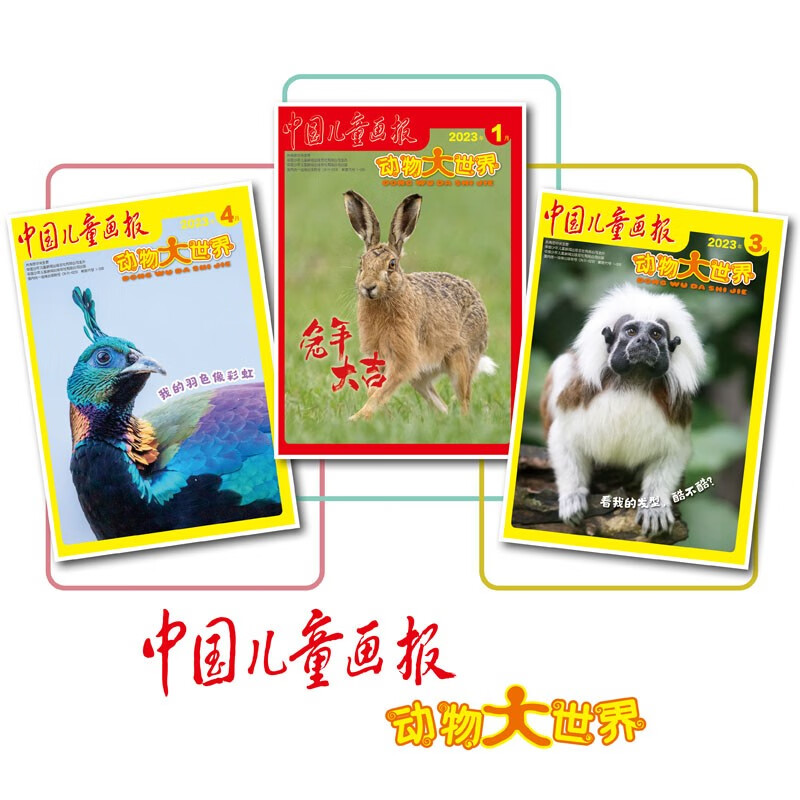 动物大世界2022年下半年2023年上半年 全年每月快递 2023年1月-12月