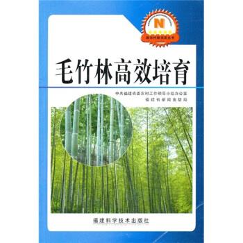 毛竹林高效培育