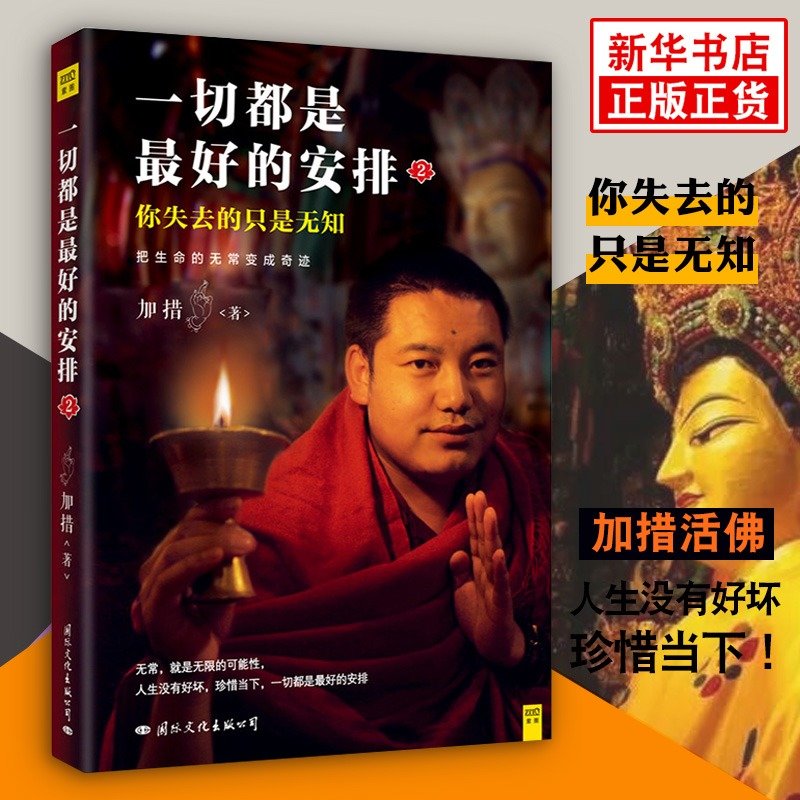 一切都是好的安排(2) 加措活佛西藏生死书索甲仁波切 佛学宗教解决烦恼补充内在能量书籍