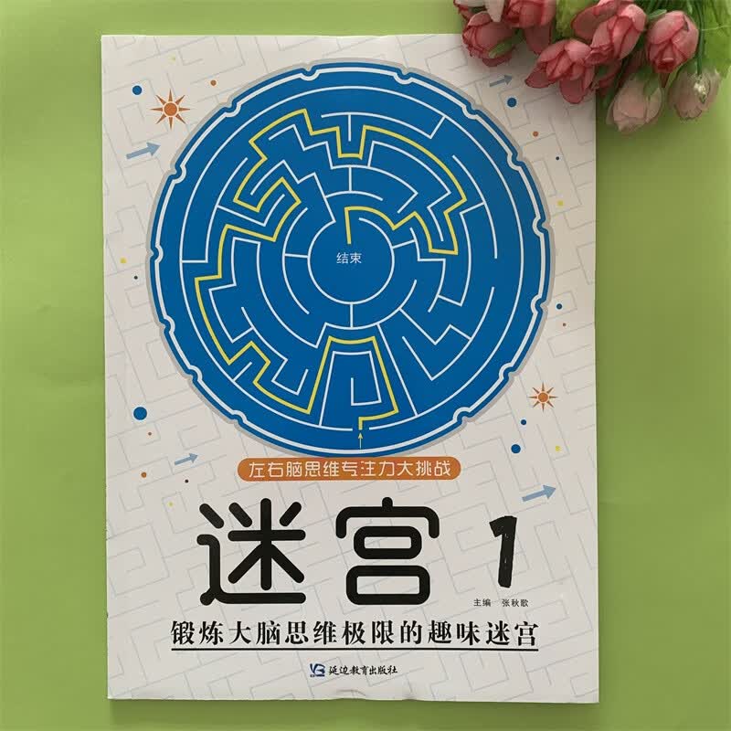 【现货速发】左右脑思维专注力大挑战 迷宫1 专注力思维逻辑幼儿左右脑全脑智力大开发 注意力观察力高难度趣味走迷宫的游戏书童心童语 迷宫1