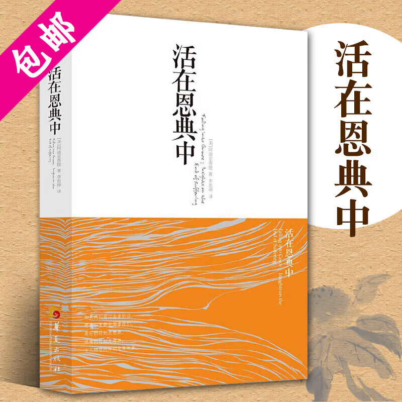 【包邮】阿迪亚香提觉醒四部曲：觉醒之后+空性之舞+真正的修行+活在恩典中 活在恩典中 定价39