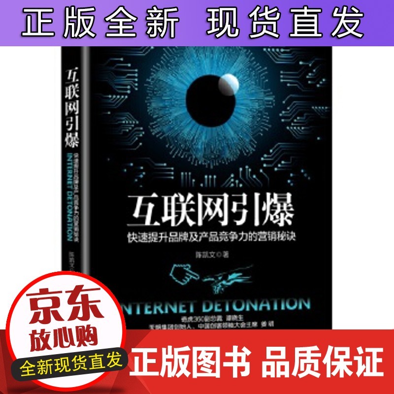 互联网引爆 陈凯文 北京联合出版公司