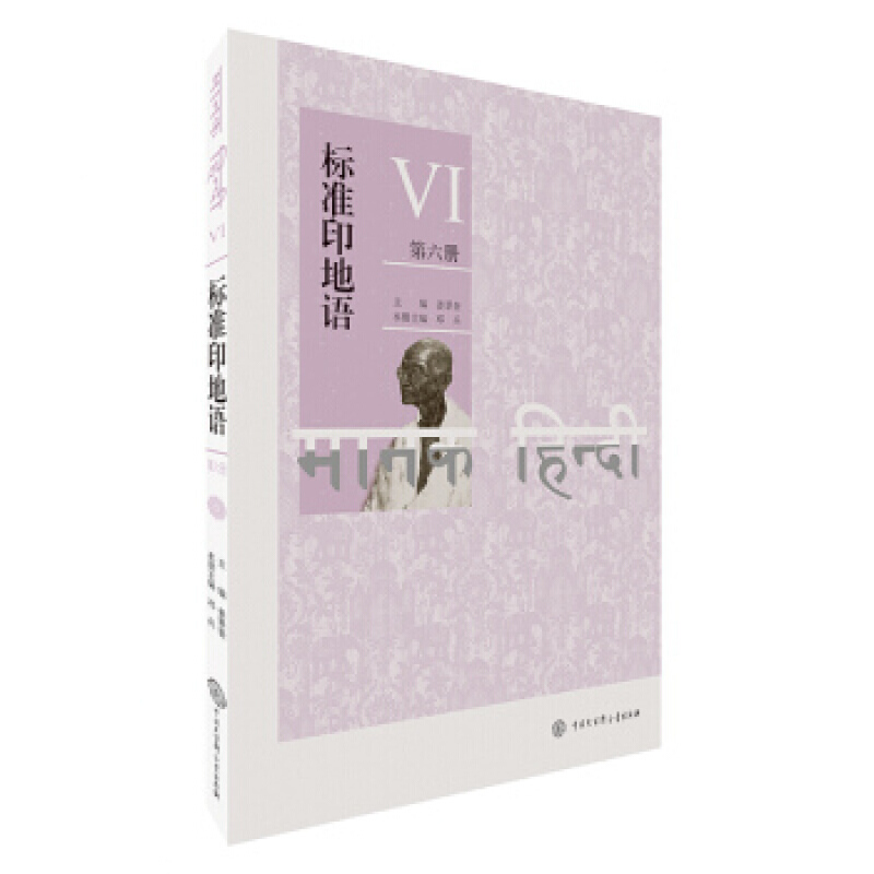 标准印地语（第六册）