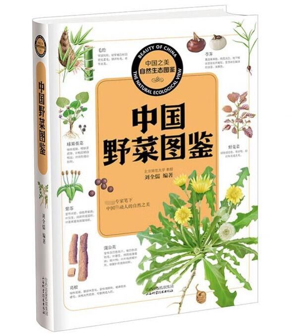 中国野菜图鉴/中国之美自然生态图鉴